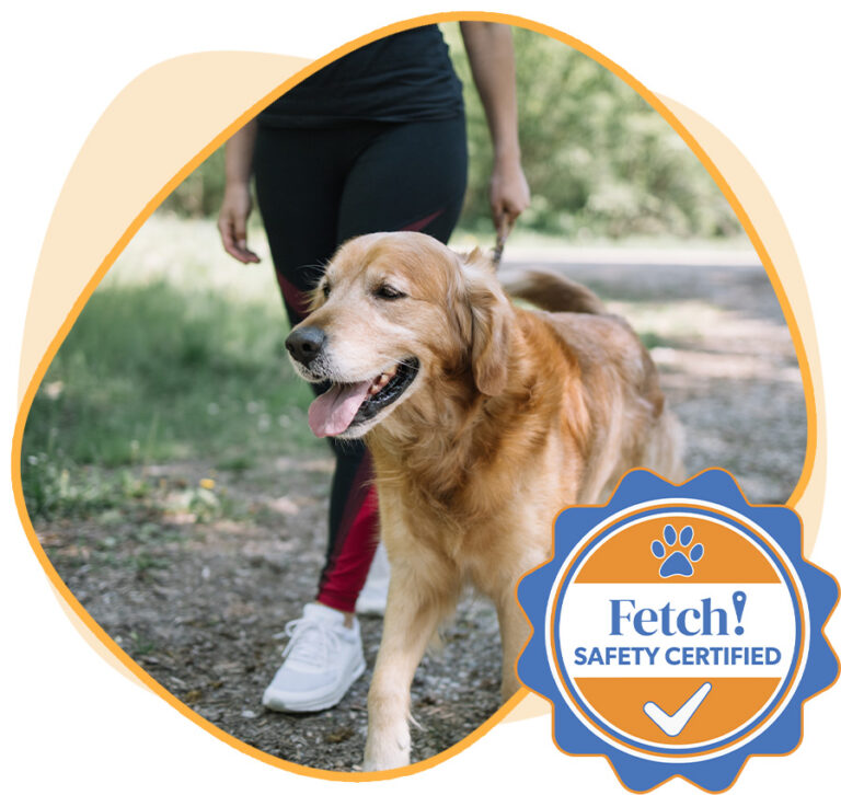 Find a Local Dog Walker Near You - Fetch! Pet Care