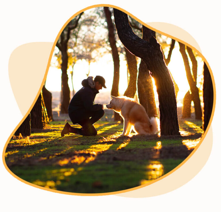 Find a Local Dog Walker Near You - Fetch! Pet Care