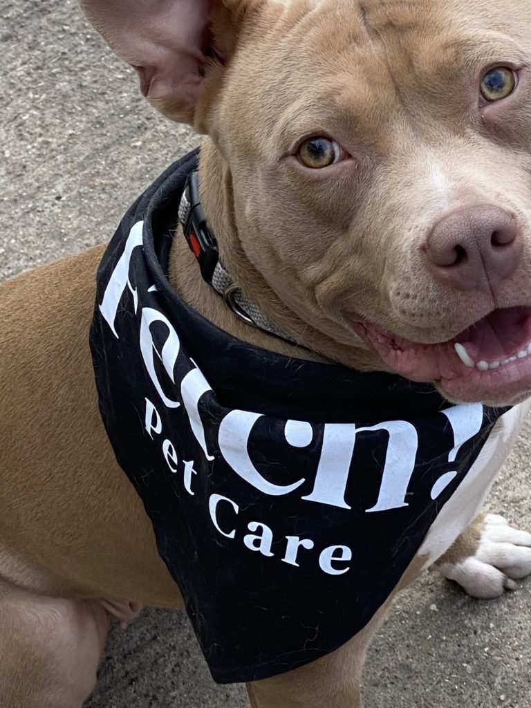 Fetch Flower Mound Pet Family Photo Album - Fetch! Pet Care