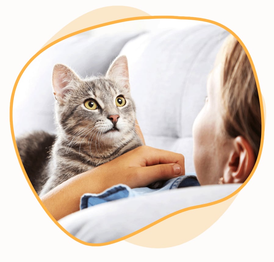 Why Choose Fetch Pet Care Services in Raleigh